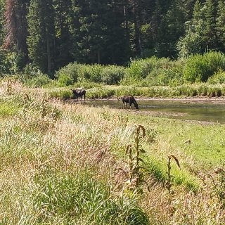 Star Valley Ranch RV Park - Thayne, Wyoming - RV LIFE Campground Reviews